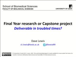 Final Year research or Capstone projects