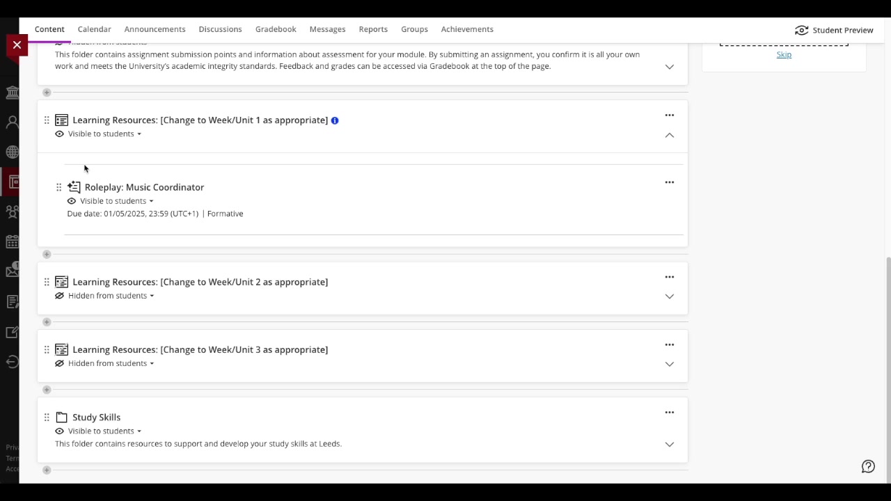 Minerva AI Conversation - the student experience