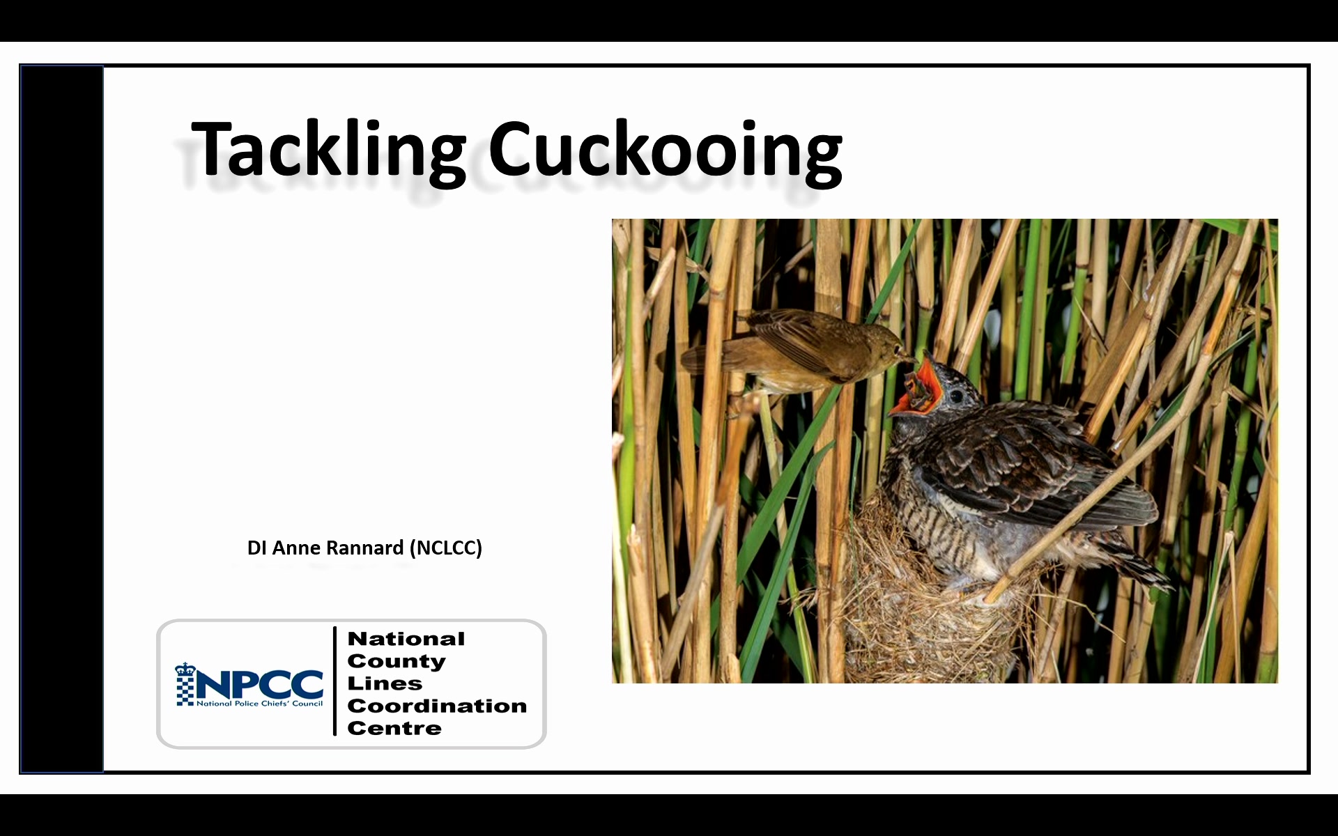 NCLCC - Anne Rannard